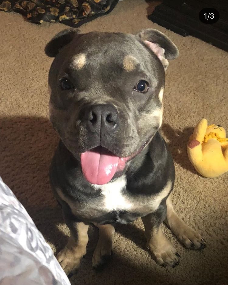 Testimonials – The Violet Crow