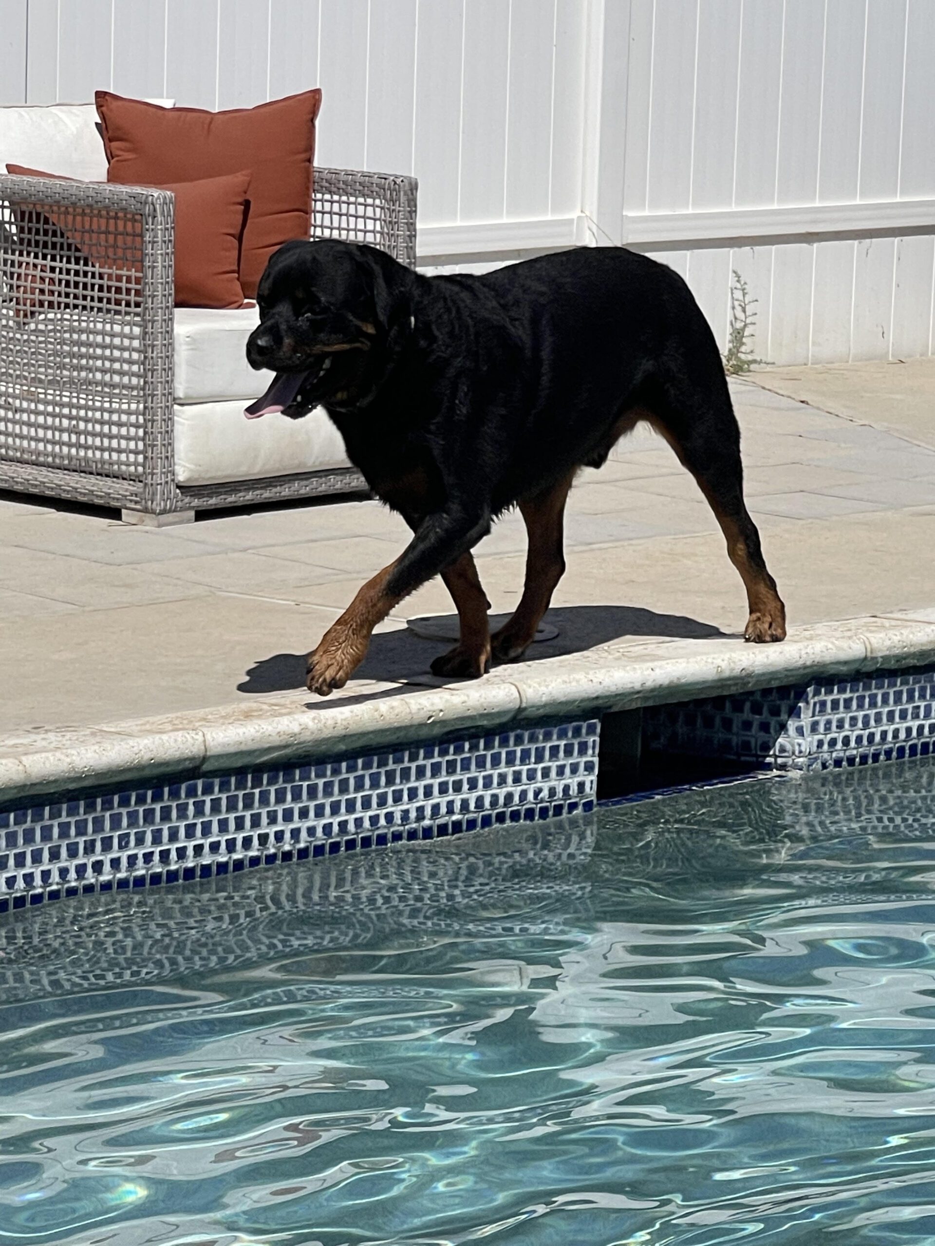 Testimonials – The Violet Crow